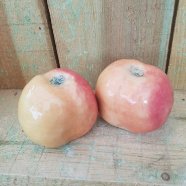 C-60 Marigold over C-54 Snapdragon | AMACO Brent