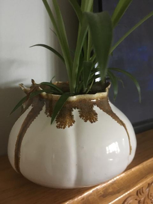 PC-53 Ancient Jasper over C-10 Snow | AMACO Brent